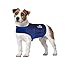 Amazon.com : Contech ZenDog Calming Compression Dog Shirt, X-Large ...