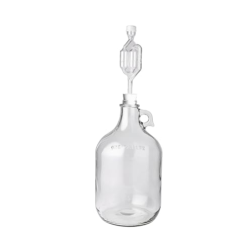 FastRack 1 Gallon Glass Jug with Bung and Twin Bubble Airlock - Clear ...