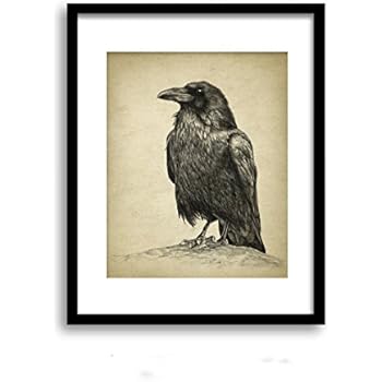 Amazon.com: Krahe Rudi Hurzlmeier Black Raven Crow In Boots Fantasy Art ...