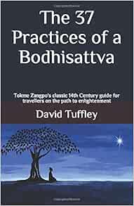 Amazon.com: The 37 Practices of a Bodhisattva: Tokme Zangpo's classic 14th Century guide for ...