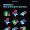 MATLAB for Brain and Cognitive Scientists (Mit Press): Amazon.de: Mike X. Cohen: Fremdsprachige ...