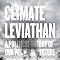 Climate Leviathan: A Political Theory of Our Planetary Future ...