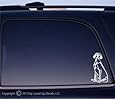 Amazon.com: Weimaraner Dog vinyl decal small: Automotive