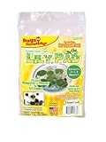 Lily Pad Kit - Grow Your Own Giant Lily Pads - The Green Head