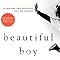 Beautiful Boy: A Father's Journey Through His Son's Addiction: Sheff ...