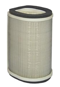 Amazon.com: Hiflofiltro HFA4912 Premium OE Replacement Air Filter ...
