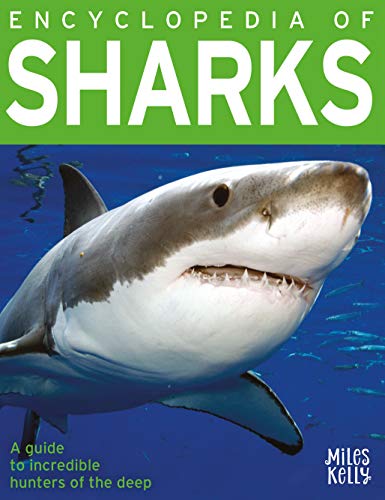 Encyclopedia of Sharks: Claybourne, Anna: 9781786173287: Amazon.com: Books