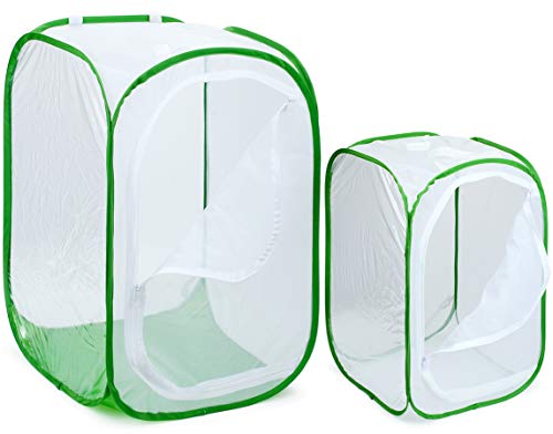 RESTCLOUD 2-Pack 24" & 36" Large Monarch Butterfly Habitat, Giant ...