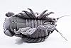 ZHONGXIN MADE Giant Isopod Plush - Lifelike 13inch Isopod Stuffed ...