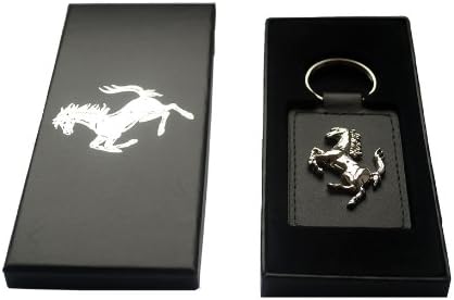 Ferrari Keyring with Presentation Case – BigaMart