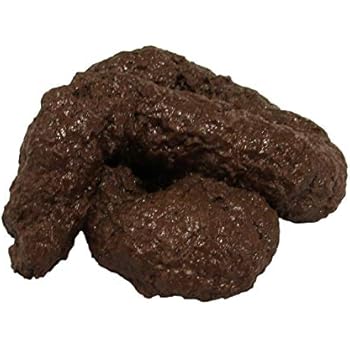 Amazon.com: Fake Dog Poop: Toys & Games