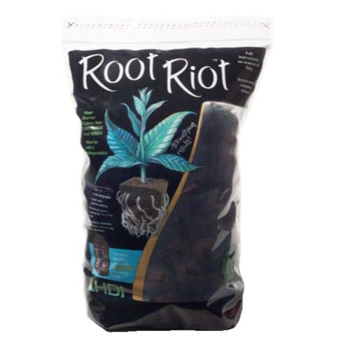 Root Riot Plugs 100 Cubes 714132 for sale | Phoenix, AZ | Nellis Auction