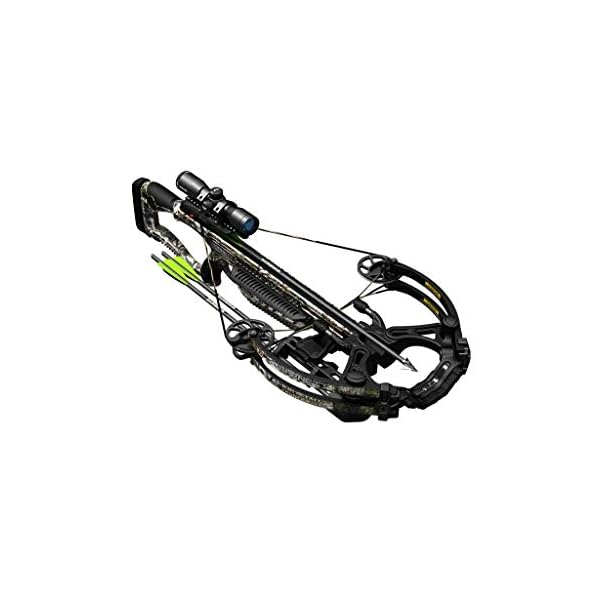 Viking Kingfish Crossbow Bowfishing Kit with Reel, Line, Arrows, and ...