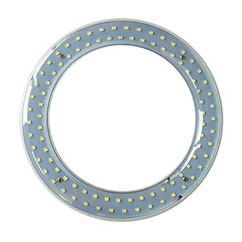 T9 LED Circline Light Bulb, 8 Inch 1600LM LED Circular Light, 13W Clear ...