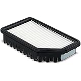 Amazon.com: Genuine OEM Hyundai Air Filter 28113-C1100: Automotive