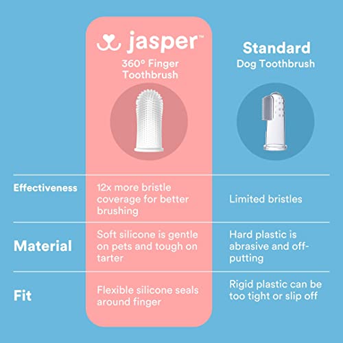 Jasper 360º Dog Toothbrush, Cat Toothbrush, Dog Tooth Brushing Kit, Dog ...