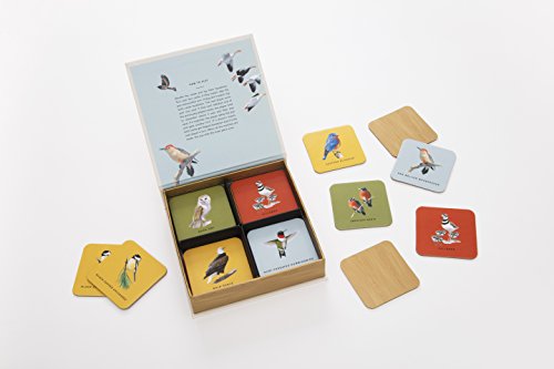 Sibley Backyard Birds Matching Game: A Memory Game with 20 Matching ...