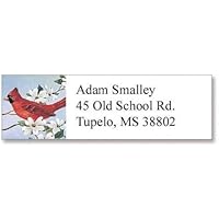 Amazon.com : Cardinal Small Return Address Labels - Set of 240 2" x 5/8 ...