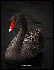 SWAN NOTEBOOK: Lined notebook with SWAN cover - Large size 8.5X11 ...