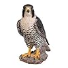 Hi-Line Gift Ltd Peregrine Falcon Statue in Dubai - UAE | Whizz Statues