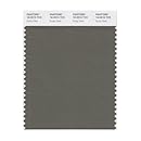 PANTONE Smart 18-0515X Color Swatch Card, Dusty Olive - House Paint ...