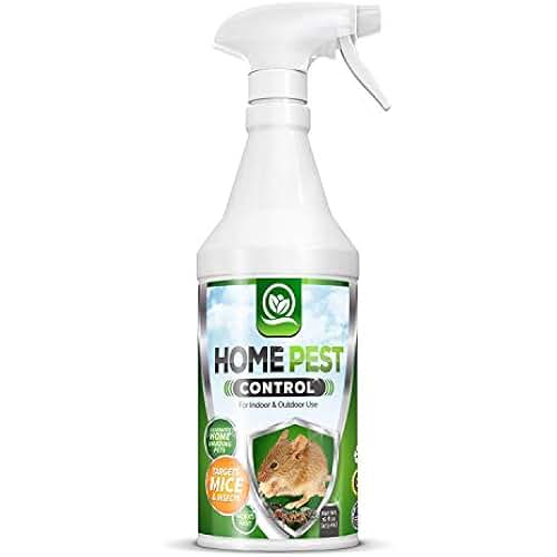 Amazon.com: pet safe indoor ant killer
