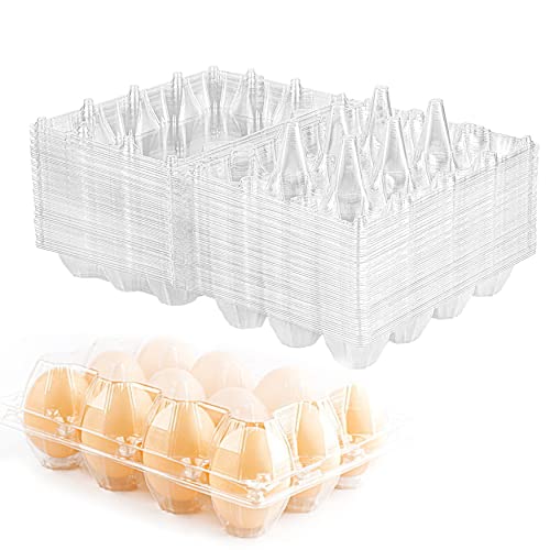 50 Pack Plastic Egg Cartons Cheap Bulk 1 Dozen Clear Empty Egg Cartons ...