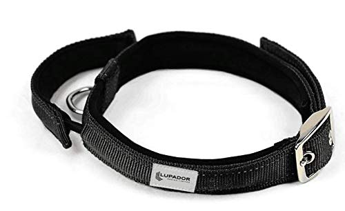 Collari, imbracature e guinzagli 2,5 cm LUPADOR Collare Cane con Nome ...