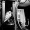 Amazon.com: Late Victorian Gothic Tales (Oxford World's Classics ...