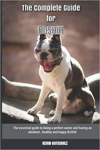 ボスシーズー - 犬種の本