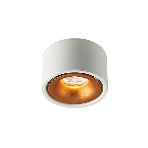 Indoor Surface Mounted Accent Spot Lamp 10W LED Ceiling Spotlight ...