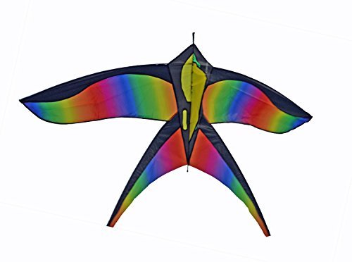 Mua Huge Beginner Kite for Sale, Rainbow Bird 70x40 inch with String ...