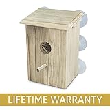 Window View Bird Nest Box - The Green Head