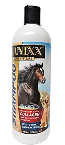 Banixx Medicated Anti-Fungal, Anti-Bacterial Shampoo in Kuwait | Whizz ...