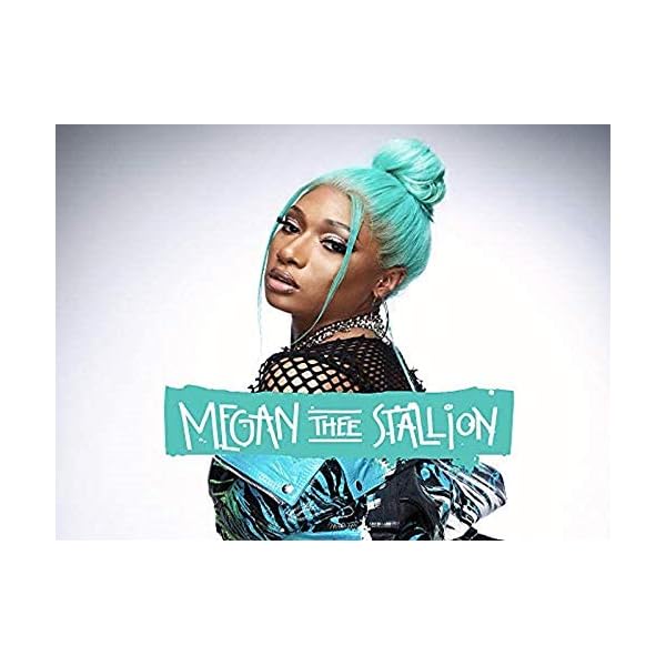 Megan thee Stallion 12 x 16 inch poster Bhurma Collection – Posters Rock