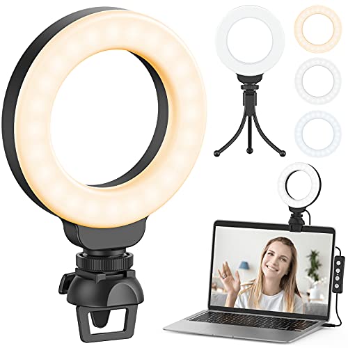 Ring Light for Laptop Computer, Ruyilam Video Conference Lighting Kit ...
