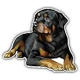 Amazon.com: Rottweiler Puppy Vinyl Waterproof Sticker Decal Car Laptop ...