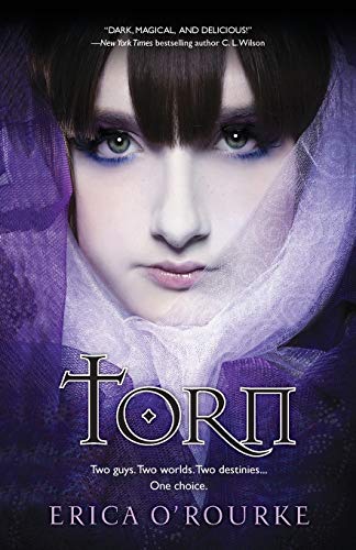 Amazon.com: Torn: 9780758267030: O'Rourke, Erica: Books