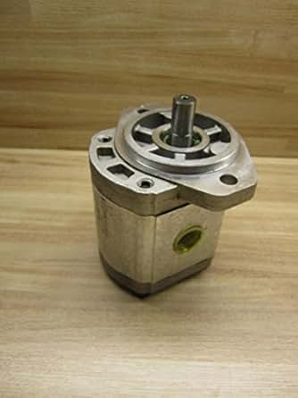 Casappa PLP20.16 Gear Pump And Motor: Amazon.com: Industrial & Scientific