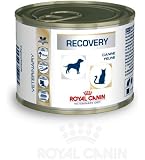Royal Canin Veterinary Diet Recovery Liquid 3 x 200 ml: Amazon.co.uk ...