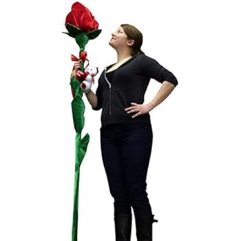 Amazon.com: Giant Stuffed Rose Is 6-feet Tall with I Love You Teddy ...