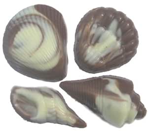 Amazon.com: Chocolate Seashells Varied Shapes -1 Dozen, Swirled White ...