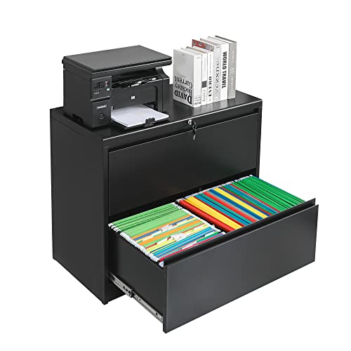 WIILAYOK Lateral File Cabinet with Lock,2 Drawer File Cabinet for Home ...