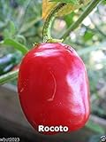 Rocoto Pepper: So Much More Than Its Cover - PepperScale