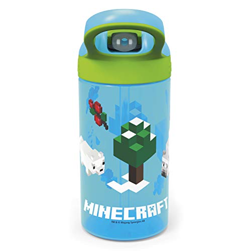 Zak Designs Minecraft Kids Water Bottle with Straw and Built in ...