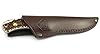 Puma Knives Skinmaster Integral Stag German Made Hunting Knife with ...