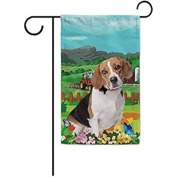 Amazon.com : Best of Breed Beagle Butterfly Garden Flag : Garden & Outdoor