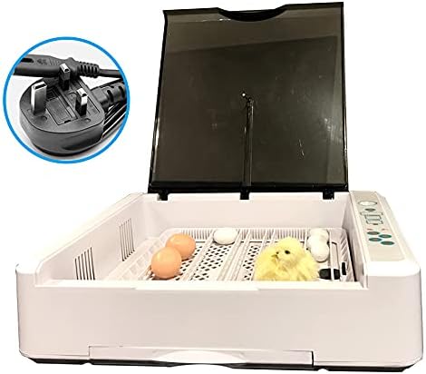 HOOHI Digital Egg Incubator Hold 36 Eggs Automatic Poultry Hatcher for ...