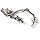 Amazon.com: Dragon Earring Ear Cuff Metal Wrap Ancient Wyrm CA18 Silver ...