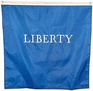 Amazon.com : Gettysburg Flag Works 3x3' Historic Schenectady Liberty ...